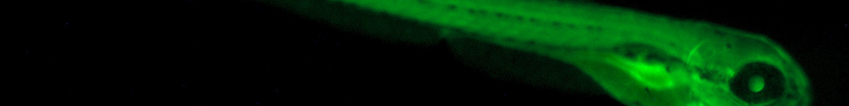 VAST BioImager Platform | Union Biometrica