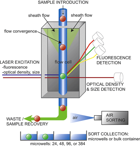 Union Biometrica Products - Overview of COPAS Large Particle Flow ...